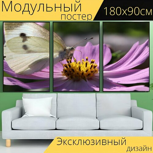 Модульный постер "Бабочка, космос, цветок" 180 x 90 см. для интерьера