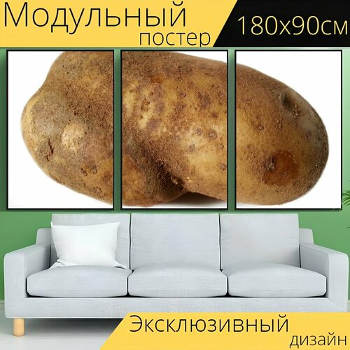 Модульный постер "Картошка, питание, есть" 180 x 90 см. для интерьера