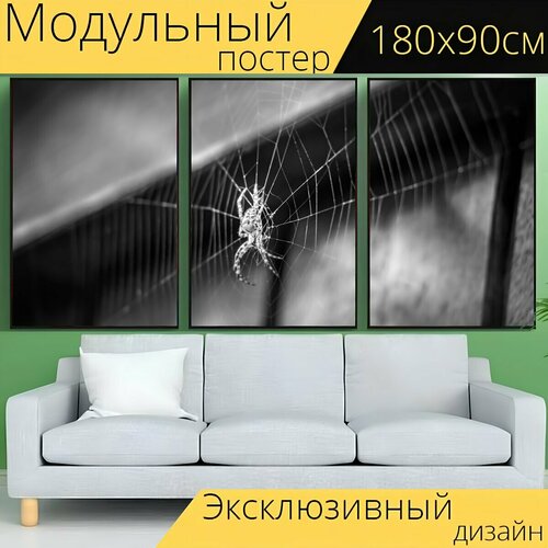Модульный постер "Паук, паучья паутина, сеть" 180 x 90 см. для интерьера
