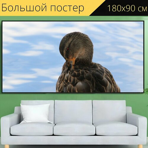 Большой постер "Утка, птица, водоплавающая птица" 180 x 90 см. для интерьера