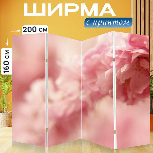 Ширма перегородка с принтом "Весна, цветок, розовый" на холсте - 200x160 см. для зонирования, раскладная