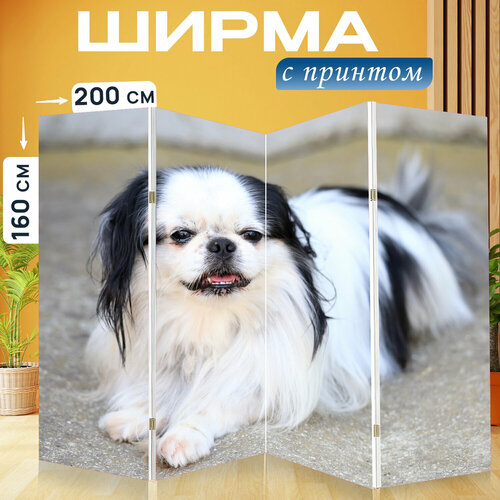 Ширма перегородка с принтом "Собака, японский подбородок, животное" на холсте - 200x160 см. для зонирования, раскладная