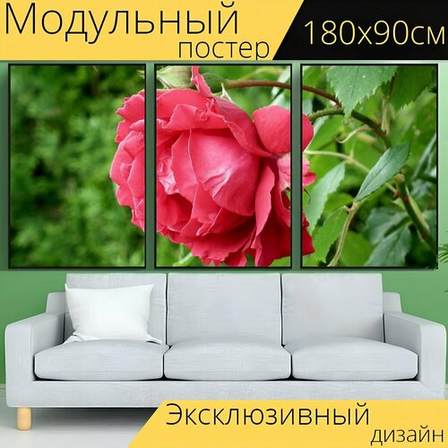 Модульный постер "Роуз, цветок, красный" 180 x 90 см. для интерьера