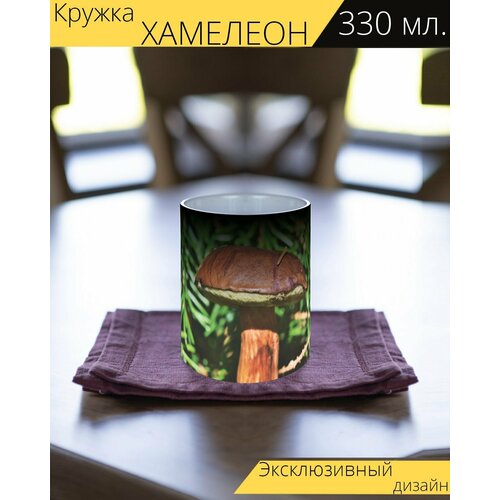 Кружка хамелеон с принтом "Коричневый кап, гриб, лесные грибы" 330 мл.
