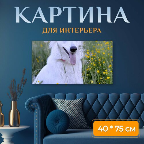 Картина на холсте "Летом, собака, белый" на подрамнике 75х40 см. для интерьера