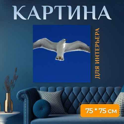 Картина на холсте "Животное, небо, чайка" на подрамнике 75х75 см. для интерьера