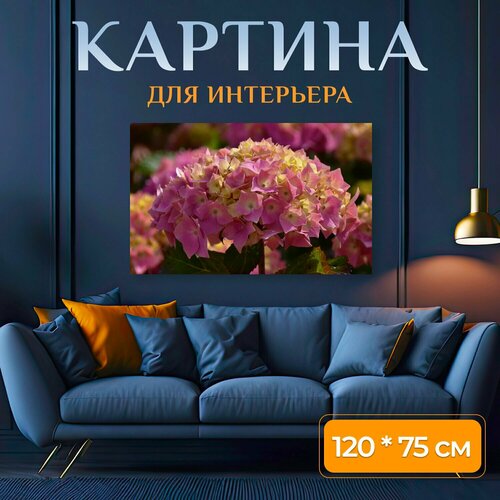 Картина на холсте "Цветок, цветок гортензия, гортензия" на подрамнике 120х75 см. для интерьера