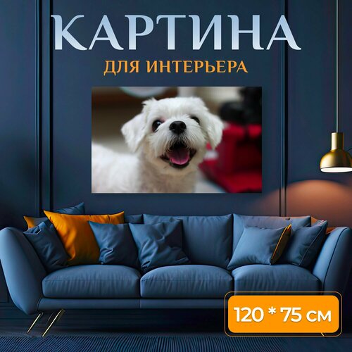 Картина на холсте "Собака, щенок, животное" на подрамнике 120х75 см. для интерьера