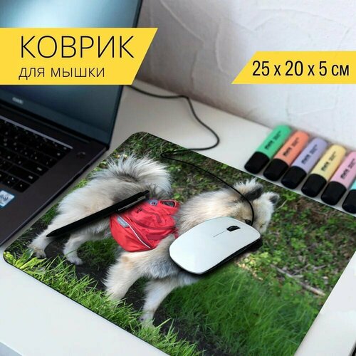 Коврик для мыши с принтом "Собака, eurasier, чехол" 25x20см.