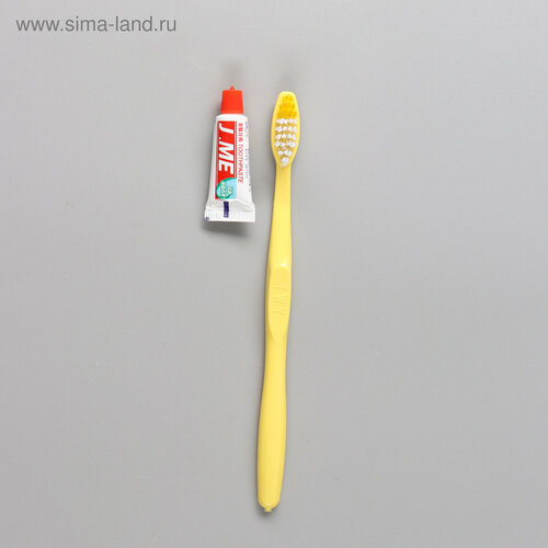 Зубной набор: зубная щетка 16 см + зубная паста 3 г (50шт.)