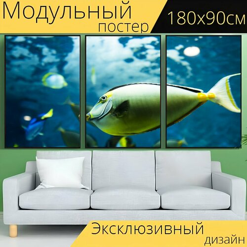 Модульный постер "Аквариум отару, бак рыб, коралловые рыбки" 180 x 90 см. для интерьера