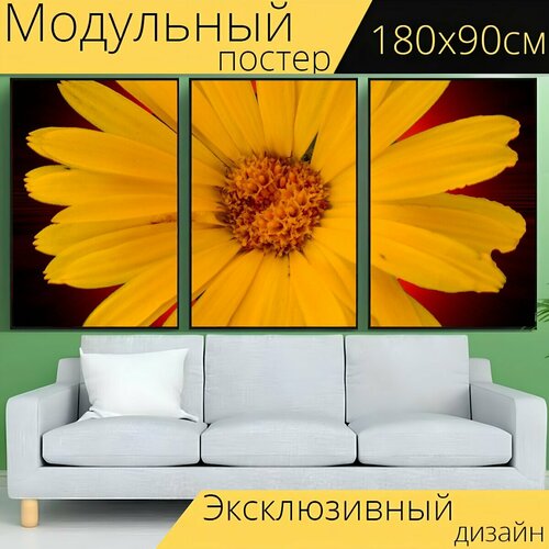 Модульный постер "Желтый цветок, природа, сад" 180 x 90 см. для интерьера