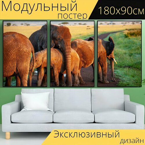 Модульный постер "Слон, стадо, мама" 180 x 90 см. для интерьера