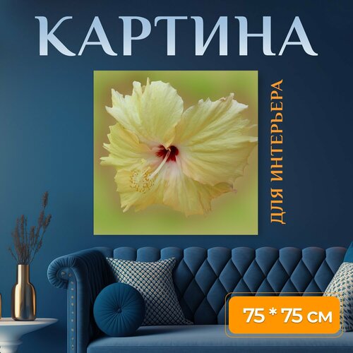 Картина на холсте "Гибискус, цветок, цвести" на подрамнике 75х75 см. для интерьера