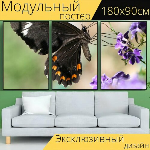 Модульный постер "Бабочка, цветок, природа" 180 x 90 см. для интерьера