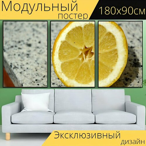 Модульный постер "Лимон, цитрусовый фрукт, фрукты" 180 x 90 см. для интерьера