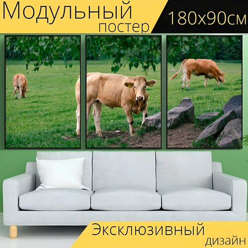 Модульный постер "Корова, коровы, природа" 180 x 90 см. для интерьера