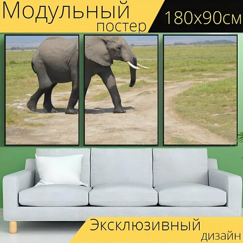 Модульный постер "Слон, африка, лес" 180 x 90 см. для интерьера