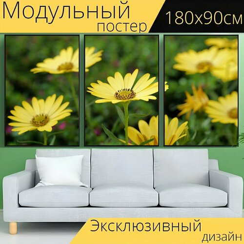 Модульный постер "Цветок, цвести, желтый" 180 x 90 см. для интерьера