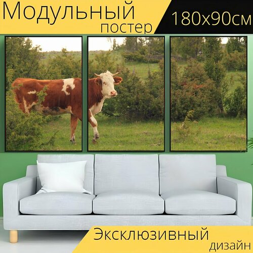 Модульный постер "Корова, животное, крупным планом" 180 x 90 см. для интерьера