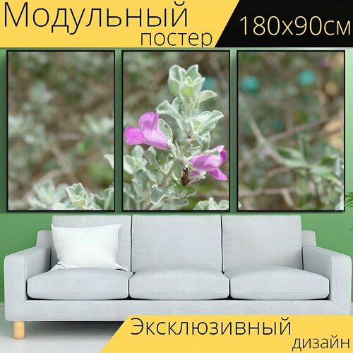 Модульный постер "Цветок, днп россия, природа" 180 x 90 см. для интерьера
