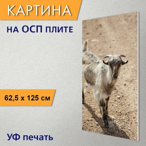 Вертикальная картина на ОСП "Козел, рога, домашний скот" 62x125 см. для интерьериа