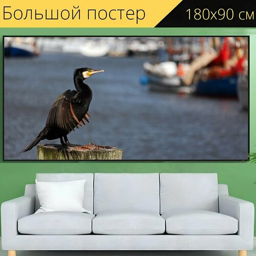 Большой постер "Баклан, птица, животное" 180 x 90 см. для интерьера