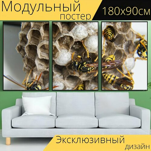 Модульный постер "Роиться, осы, подгузник" 180 x 90 см. для интерьера