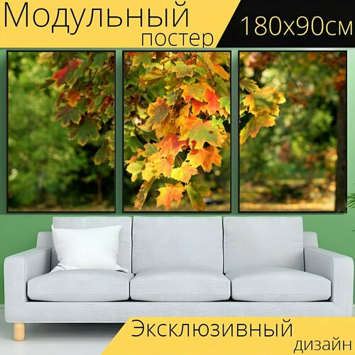 Модульный постер "Осень, разноцветные листья, осенний пейзаж" 180 x 90 см. для интерьера