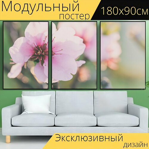 Модульный постер "Цветок миндаля, цвести, цветок" 180 x 90 см. для интерьера