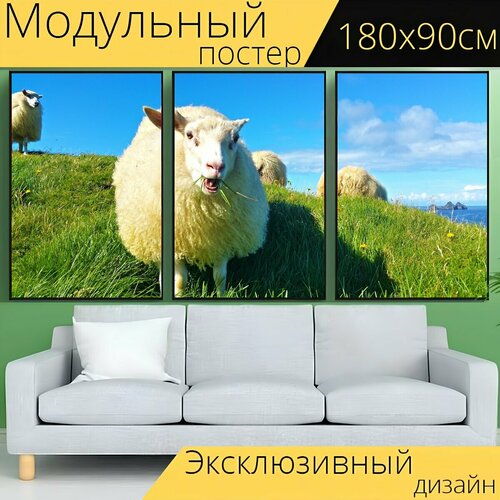 Модульный постер "Овец, исландия, трава" 180 x 90 см. для интерьера