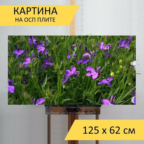 Картина на ОСП 125х62 см. "Лобелия, цветы, фиолетовый" горизонтальная, для интерьера, с креплениями