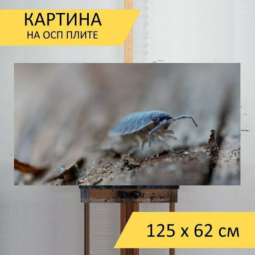 Картина на ОСП 125х62 см. "Асель, фауна, хитин" горизонтальная, для интерьера, с креплениями