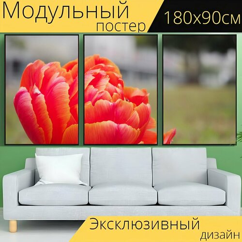 Модульный постер "Тюльпан, весна, цветы" 180 x 90 см. для интерьера