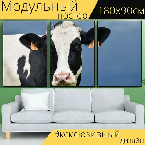 Модульный постер "Корова, гольштейн корова, породы крупного рогатого скота международной" 180 x 90 см. для интерьера