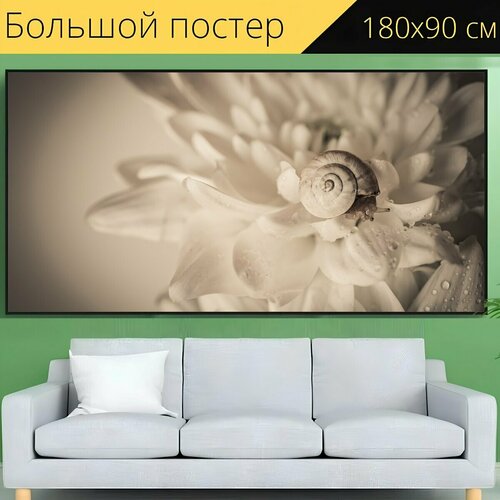 Большой постер "Улитка, цветок, макрос" 180 x 90 см. для интерьера