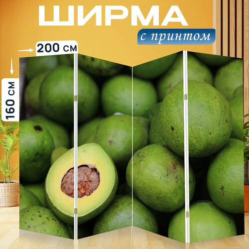 Ширма перегородка с принтом "Авокадо, шри ланка, подставка для фруктов" на холсте - 200x160 см. для зонирования, раскладная
