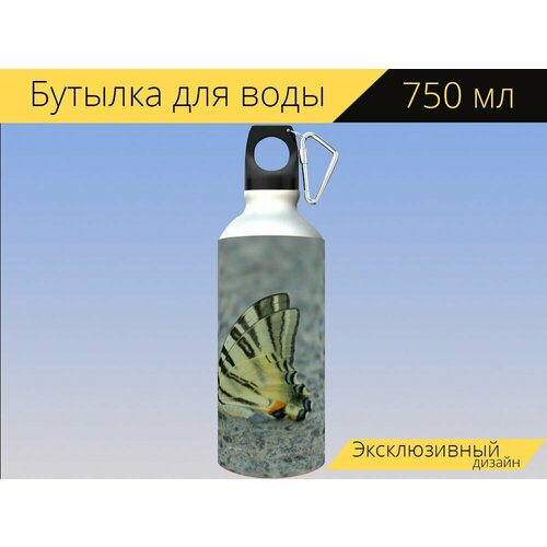 Бутылка фляга для воды "Бабочка, али, насекомое" 750 мл. с карабином и принтом