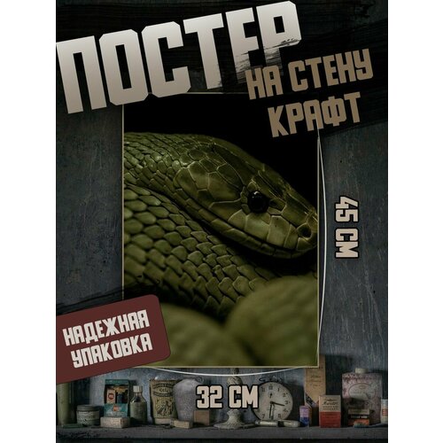 Постер крафт 32х45 Змеи