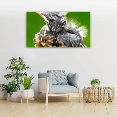 Картина на холсте 60x110 LinxOne "Природа птица молодые" интерьерная для дома / на стену / на кухню / с подрамником