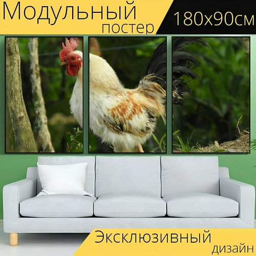 Модульный постер "Птица, петушок, курица" 180 x 90 см. для интерьера
