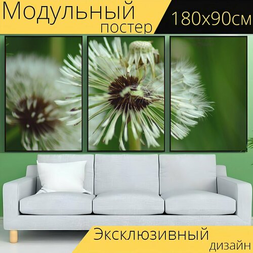 Модульный постер "Цветок, одуванчик, семена" 180 x 90 см. для интерьера