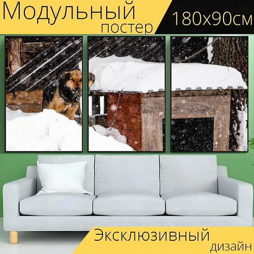 Модульный постер "Собака, снегопад, зима" 180 x 90 см. для интерьера