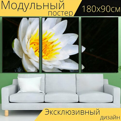 Модульный постер "Цветок, завод, природа" 180 x 90 см. для интерьера