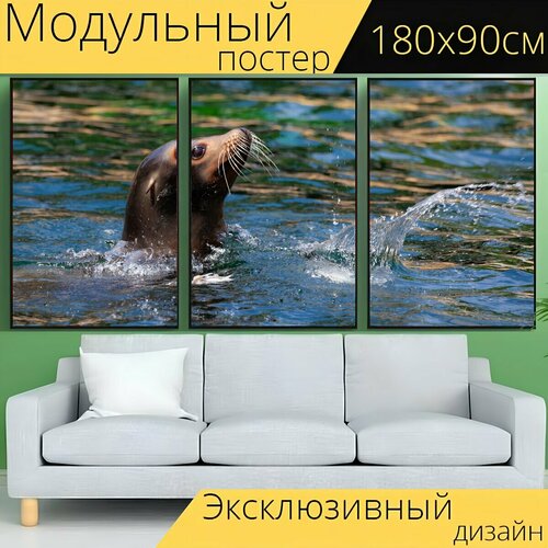 Модульный постер "Морской лев, морской лев в воде, самка морского льва" 180 x 90 см. для интерьера