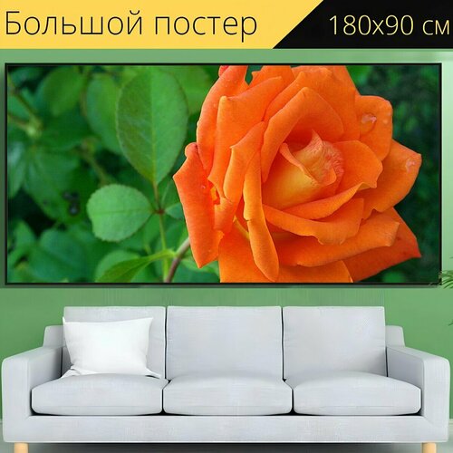 Большой постер "Роуз, цветок, оранжевый" 180 x 90 см. для интерьера