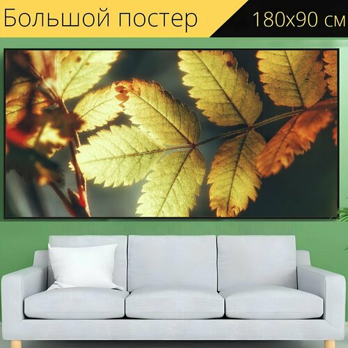 Большой постер "Осень, листья, листва" 180 x 90 см. для интерьера