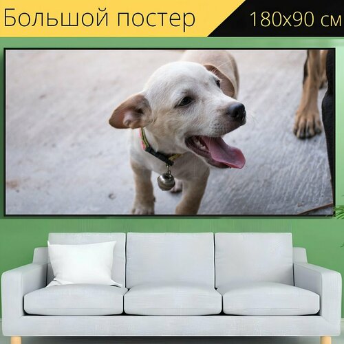 Большой постер "Щенок, собака, яркий" 180 x 90 см. для интерьера