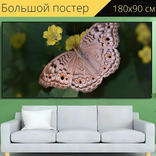 Большой постер "Бабочка, природный пейзаж, цветок" 180 x 90 см. для интерьера