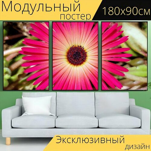 Модульный постер "Цветок, цвет, весна" 180 x 90 см. для интерьера
